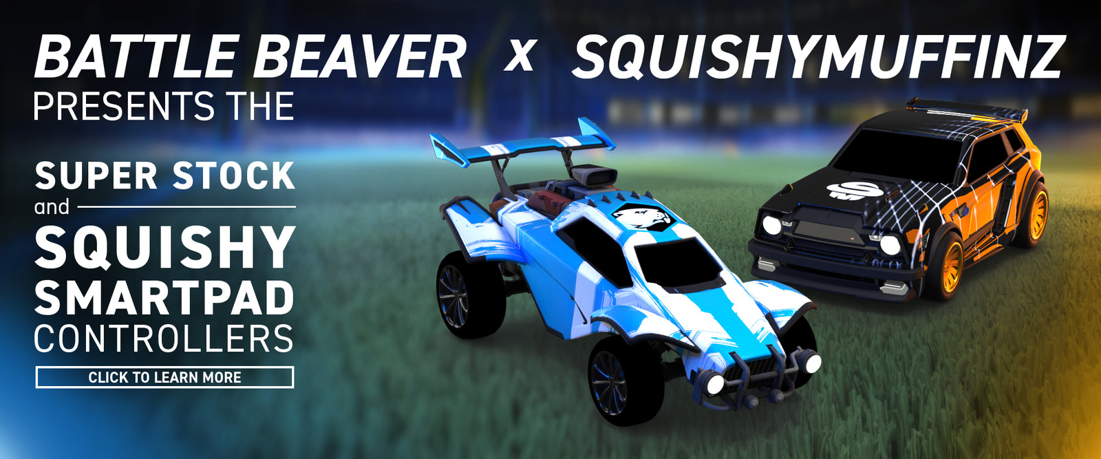 Battle Beaver - Custom Pro Controllers for PlayStation, Xbox & PC ...